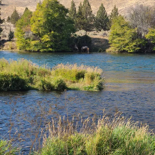 2023 Best River Trails in Warm Springs | AllTrails
