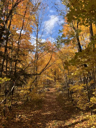 Best Hikes and Trails in Calabogie | AllTrails