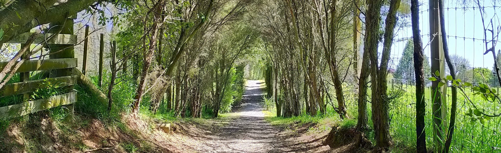 Newstead Walkway, Waikato, New Zealand - 28 Reviews, Map | AllTrails