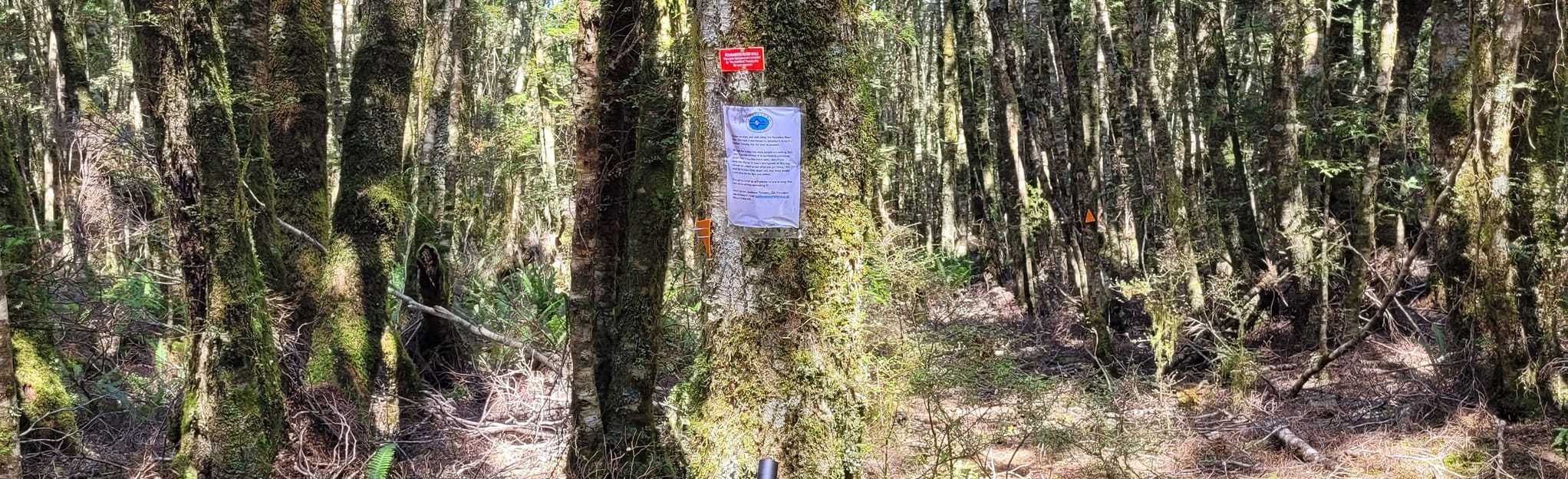 Pourakino River Track: 2 Reviews, Map - Southland, New Zealand | AllTrails