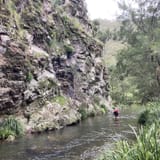Green Gully Track: Full Loop, New South Wales, Australia - 19 Reviews ...