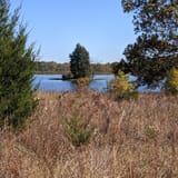 Silver Lake Loop, Virginia - 233 Reviews, Map | AllTrails