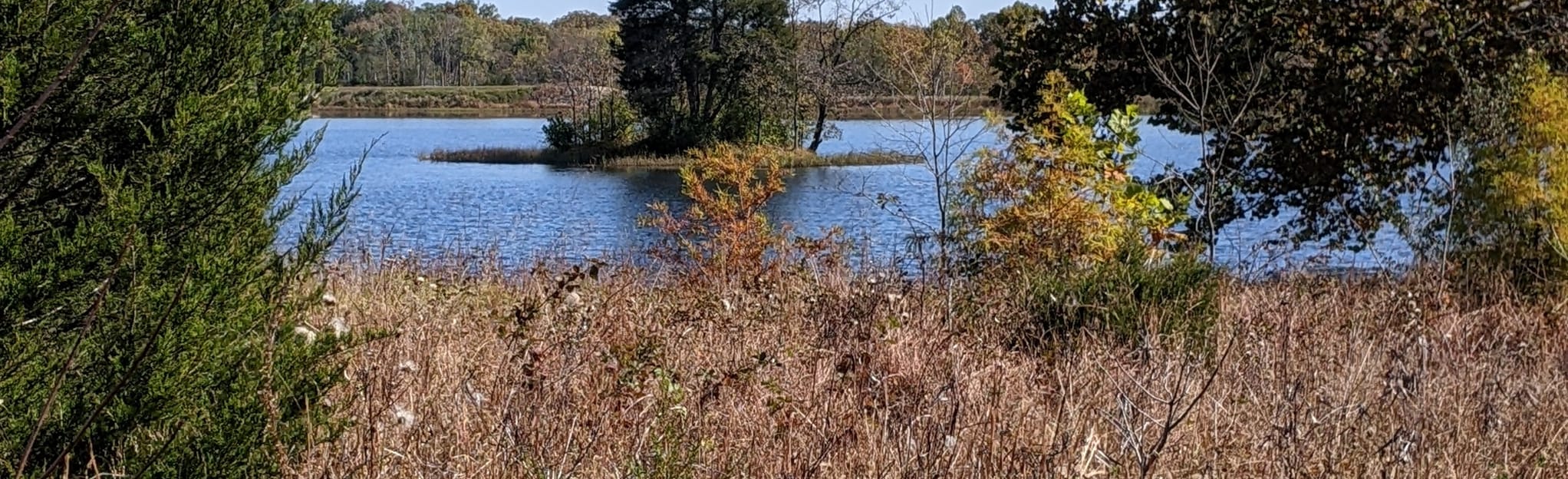 Silver Lake Loop, Virginia - 192 Reviews, Map | AllTrails