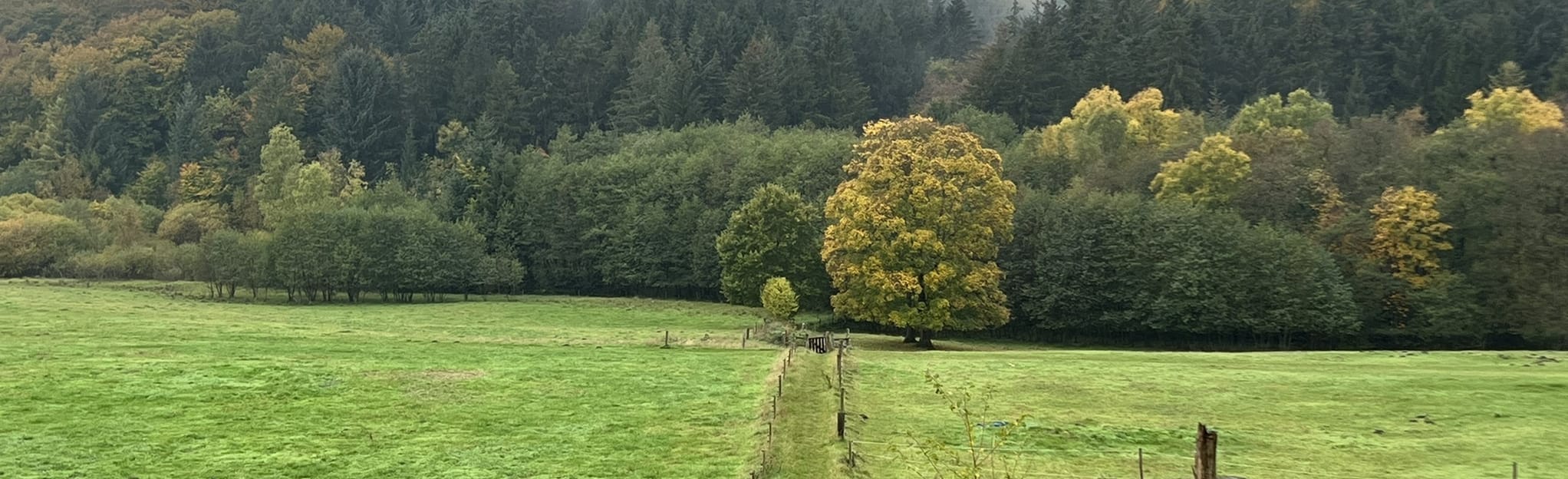 Jexen Bæk og Skov: 5 Reviews, Map - Central Denmark, Denmark | AllTrails