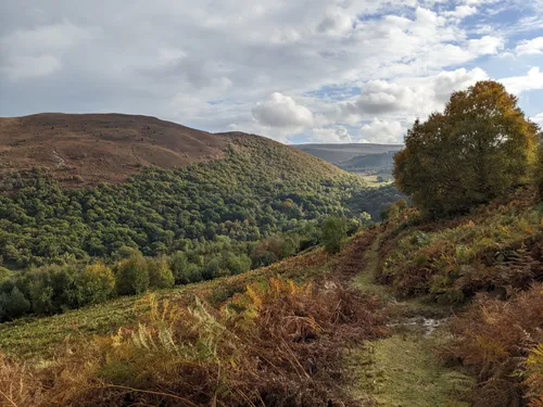 10 Best Walking Trails in Rhayader | AllTrails