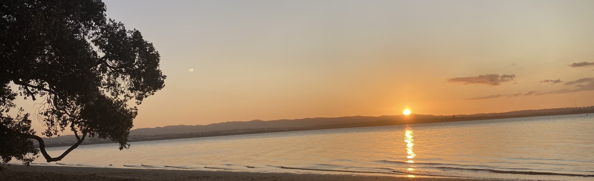 Coyle Park Loop: 7 Reviews, Map - Auckland, New Zealand | AllTrails