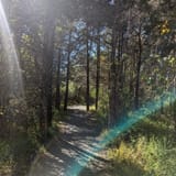 Silver Lake Loop, Virginia - 233 Reviews, Map | AllTrails