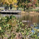 Silver Lake Loop, Virginia - 233 Reviews, Map | AllTrails