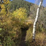 Red Grade Trails System, Wyoming - 110 Reviews, Map | AllTrails