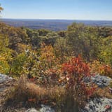 Mount Tom Tower Trail, Connecticut - 294 Reviews, Map | AllTrails