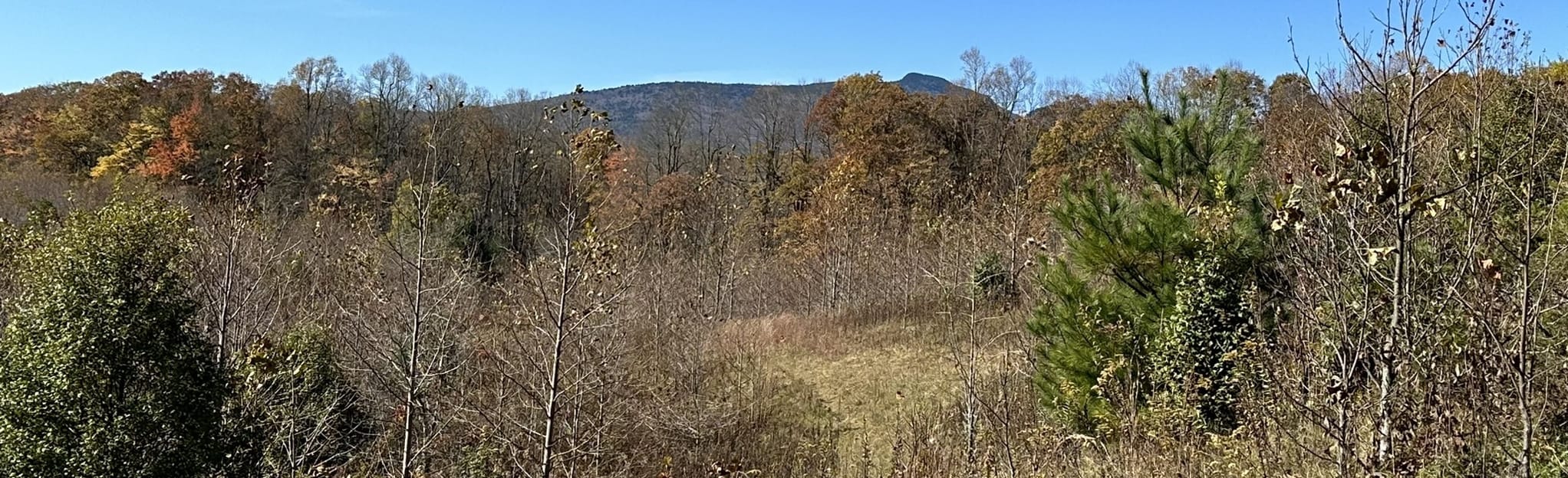 Boone Fork Trail Loop via Tanawha Trail - North Carolina#N# | AllTrails