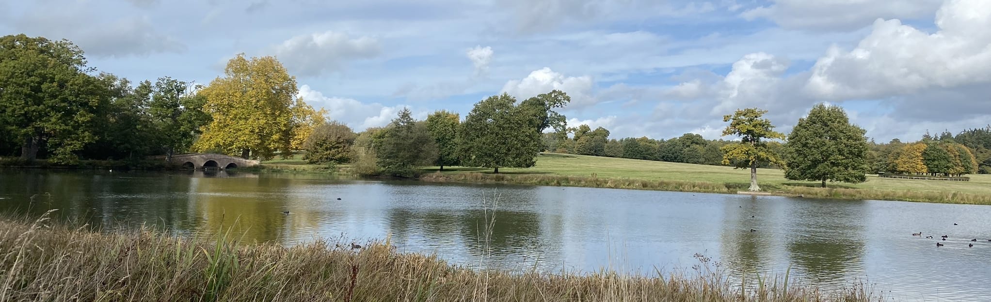 Tundry Pond Circular, Hampshire, England - 47 Reviews, Map | AllTrails