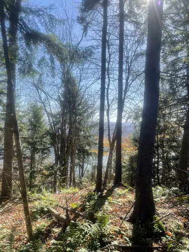 10 Best Trails and Hikes in Old Forge | AllTrails