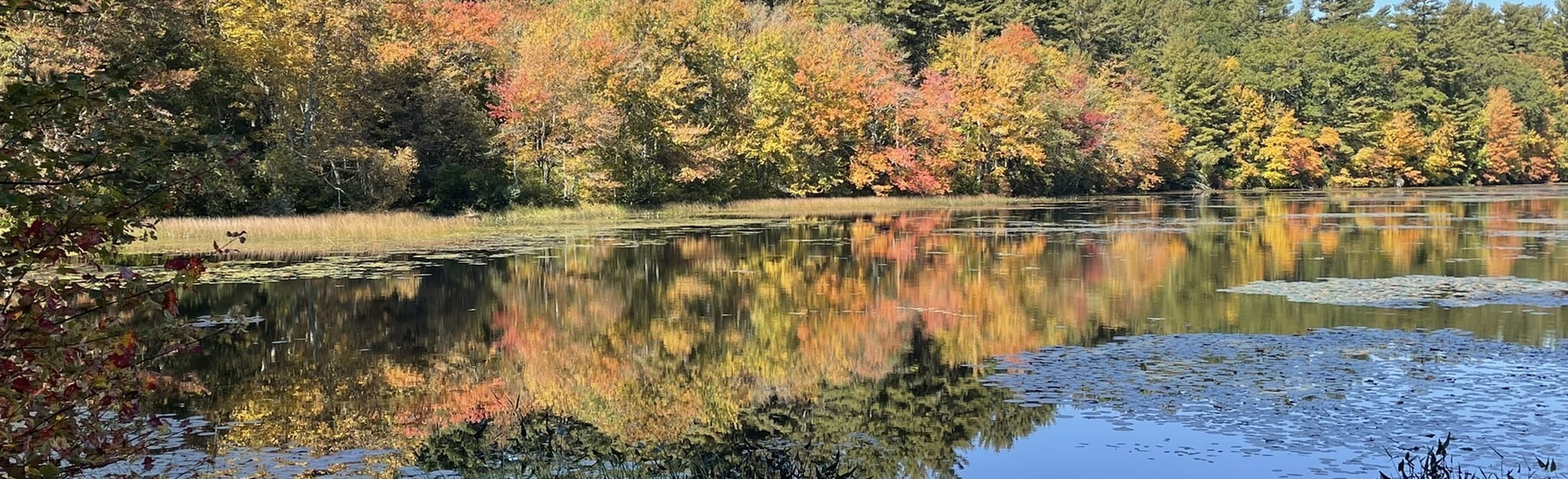 Bliven Trail to Breakheart Pond Loop, Rhode Island - 51 Reviews, Map ...