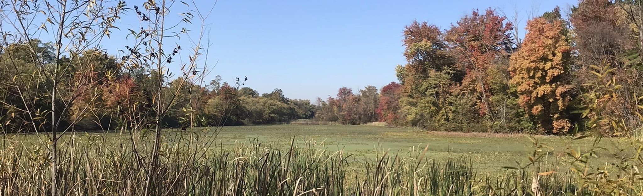 Highspire Reservoir Trail, Pennsylvania - 178 Reviews, Map | AllTrails