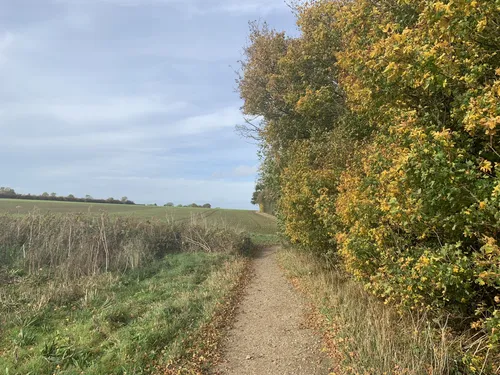 10 Best Trails and Hikes in Hitchin | AllTrails