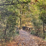 Morrison Valley Trail, Ontario, Canada - 395 Reviews, Map | AllTrails