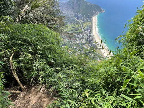10 Best Hikes and Trails in Tijuca National Park | AllTrails