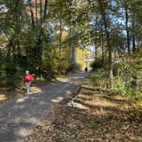 Struble Trail, Pennsylvania - 822 Reviews, Map | AllTrails
