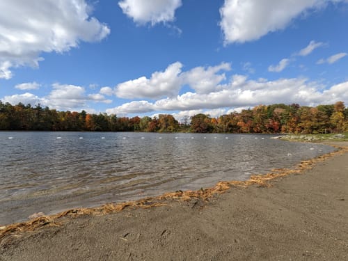 2023 Best Forest Trails in Pinehurst Lake Conservation Area | AllTrails