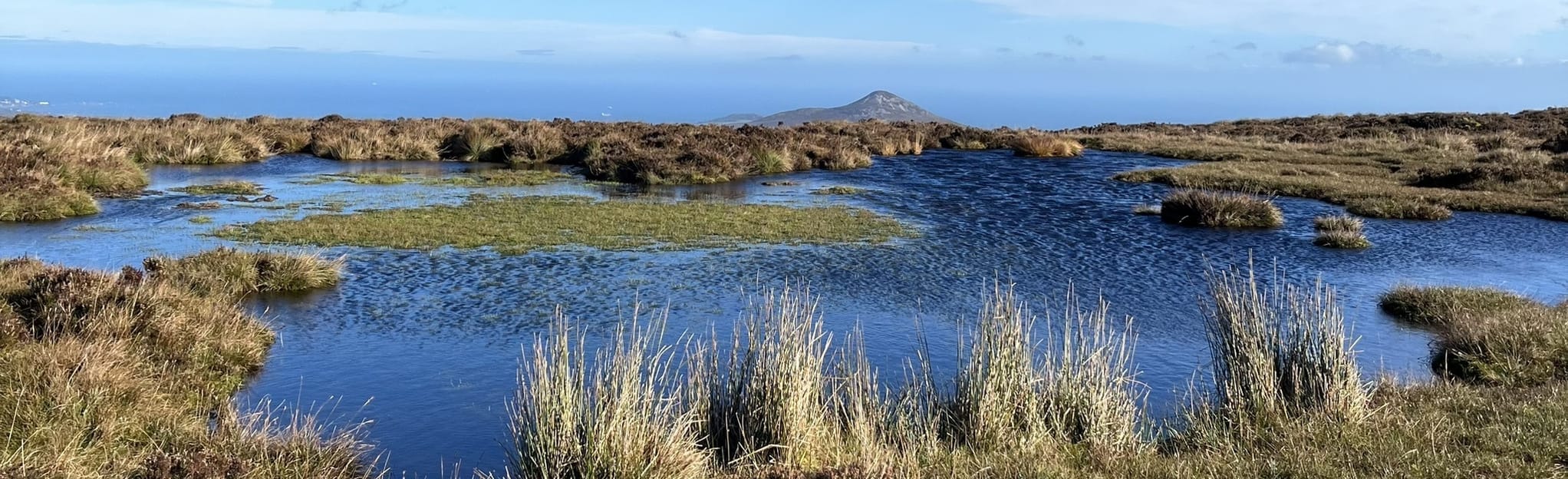 Ballinastoe Woods via Djouce and White Hill, County Wicklow, Ireland ...