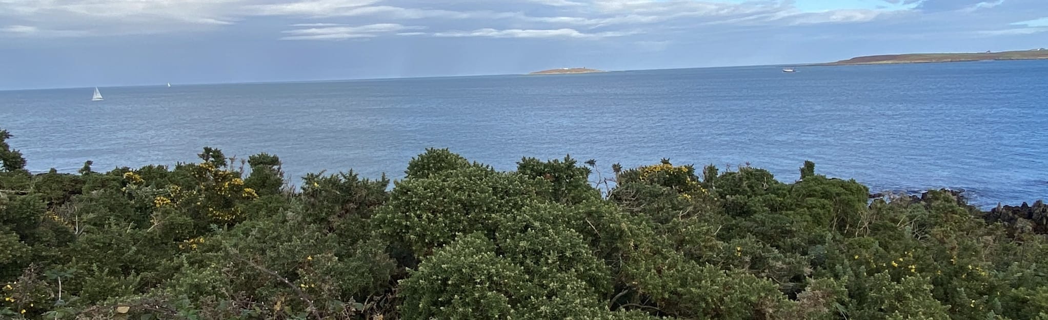 Orlock Point Walk, Ards and North Down, Northern Ireland - 15 Reviews ...