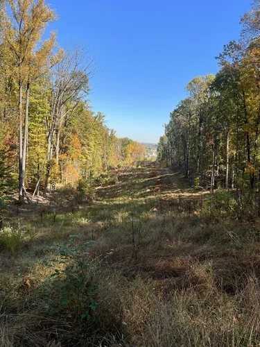 Best Hikes and Trails in Oregon Ridge Park | AllTrails