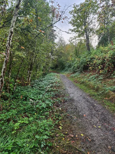 Best Hikes and Trails in Tigard | AllTrails