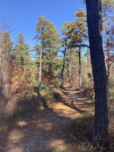 Best Hikes and Trails in Brunswick Town Commons | AllTrails