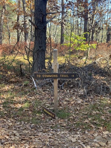 Best Hikes and Trails in Brunswick Town Commons | AllTrails