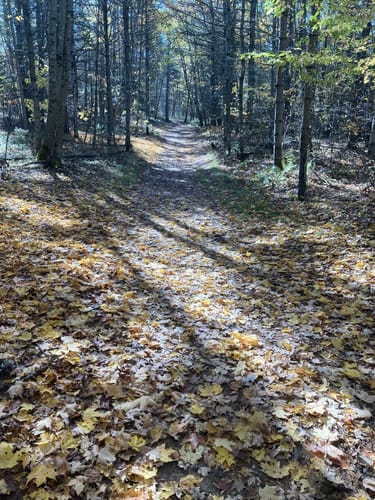 Best Hikes and Trails in Brunswick Town Commons | AllTrails