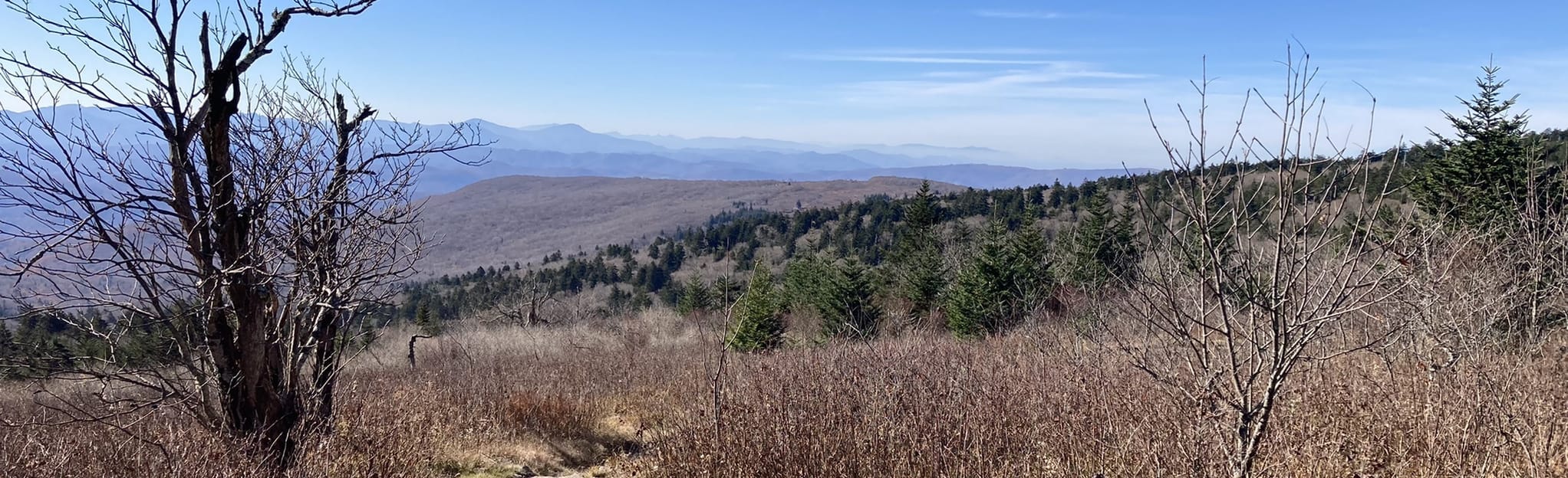 Mount Rogers and Crest Trail Loop: 14 Reviews, Map - Virginia | AllTrails