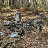 Quabbin Reservoir via Gate 40, Massachusetts - 204 Reviews, Map | AllTrails