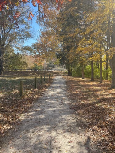 2023 Best Walking Trails in Festus | AllTrails