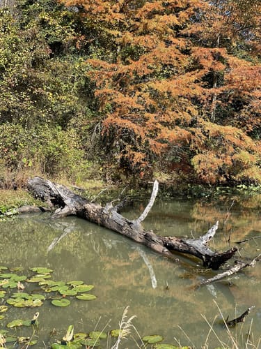 Best Hikes and Trails in Ward Farm Recreation and Nature Park | AllTrails