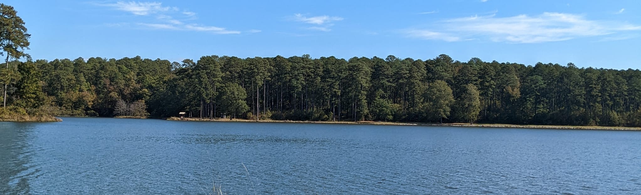 Choctaw Lake Recreation Area Trail: 89 Reviews, Map - Mississippi ...