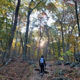 Mount Tom Tower Trail, Connecticut - 294 Reviews, Map | AllTrails
