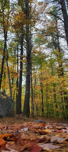10 Best Hikes and Trails in Bear Brook State Park | AllTrails