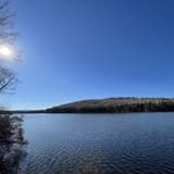 Grout Pond Trail, Vermont - 277 Reviews, Map | AllTrails
