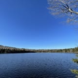 Grout Pond Trail, Vermont - 277 Reviews, Map | AllTrails