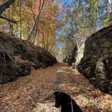 Hop River State Park Trail, Connecticut - 477 Reviews, Map | AllTrails