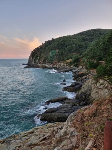 10 Best Trails and Hikes in Busan | AllTrails