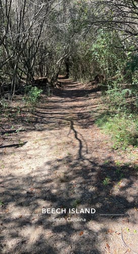 Best Hikes and Trails in Redcliffe Plantation State Historic Site ...