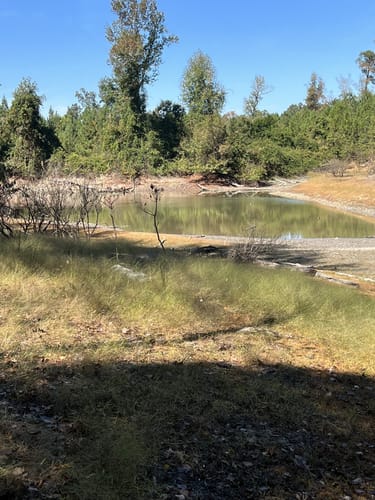 Best Hikes and Trails in Redcliffe Plantation State Historic Site ...