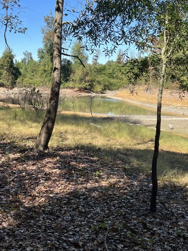 Best Hikes and Trails in Redcliffe Plantation State Historic Site ...