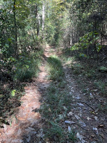 Best Hikes and Trails in Redcliffe Plantation State Historic Site ...