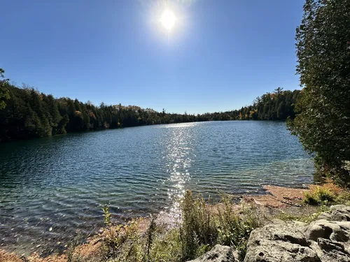 10 Best Hikes and Trails in Crawford Lake Conservation Area | AllTrails