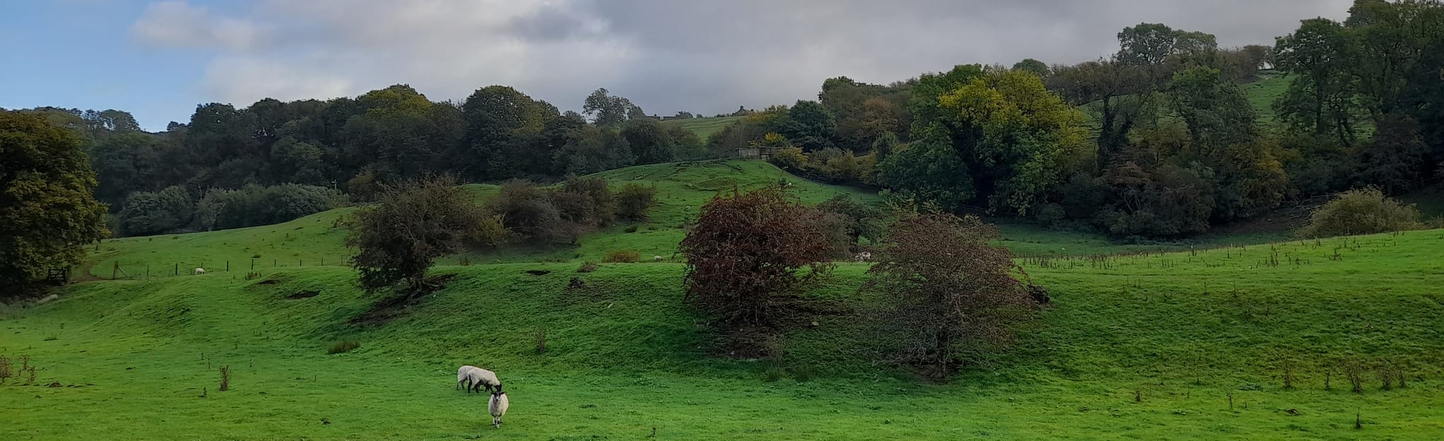 Goathland to Grosmont Circular: 108 Reviews, Map - North Yorkshire ...