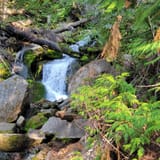 Silver Falls Trail, Washington - 258 Reviews, Map | AllTrails