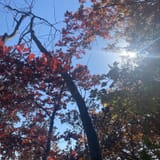 Effigy Tumuli Trail, Illinois - 165 Reviews, Map | AllTrails